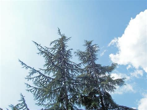 Луд на шаренко се радва Разни хора разни