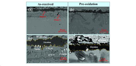Cross Sectional Microstructures Of The Aluminide Coating After Hot