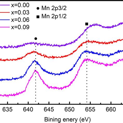 Xps Spectra Of Mn 2p Of Zn1 Xmnxo With X 000 003 006 And 009