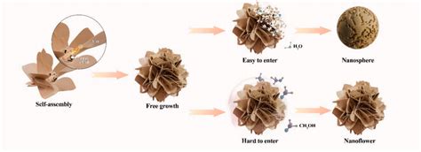 流程图 Sci Party科研社