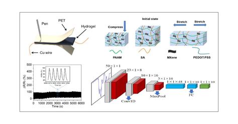 High Sensitivity Composite Dual Network Hydrogel Strain Sensor And Its Application In