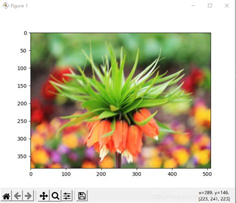 基础知识（一） 图片格式rgb 与 Bgr—— Python、opencv、pil、pltbgr图片 Csdn博客