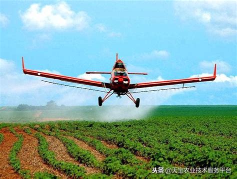 配製農藥用水這幾點需注意 每日頭條