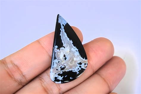 Black Fossilized Palm Tree Indo Palm Tree Fossilized Stone Palm Tree