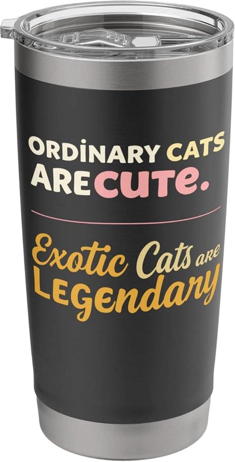 Creating A Bioactive Dart Frog Terrarium Everything You Need To Know