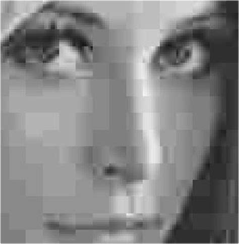 Image With Visible Blocking Artifacts Download Scientific Diagram