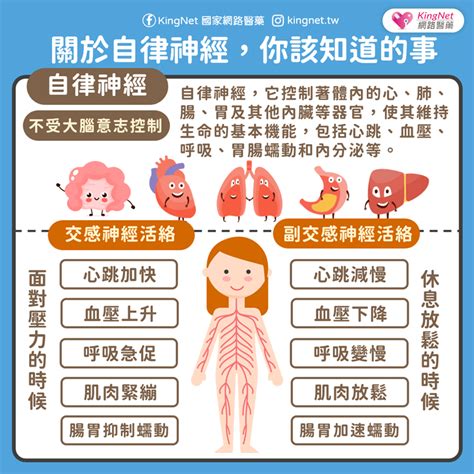 壓力大到失眠？小心自律神經失調！ 醫師公布「3大症狀」你有嗎？
