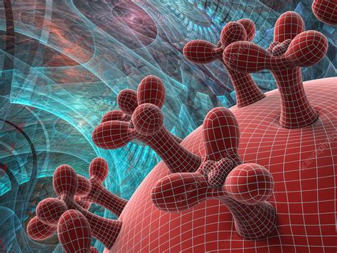 Coronavirus Capsid Detail Illustration Stock Image C0491875