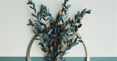 원형 물체 위에 앉아 있는 녹색 잎사귀 무리 사진 Unsplash의 식물 이미지