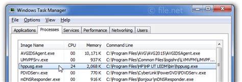 hppusg exe windows process what is it
