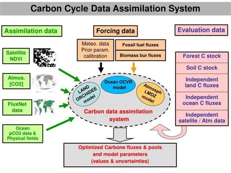 Ppt Carbon Data Assimilation System Powerpoint Presentation Free Download Id4671338