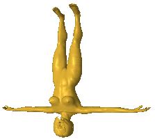 A Woman Mesh Model And A Clothing Mesh Model Download Scientific Diagram