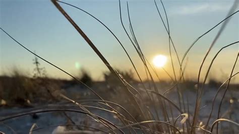 Ray Iasilli Jr On Linkedin Vote Michael