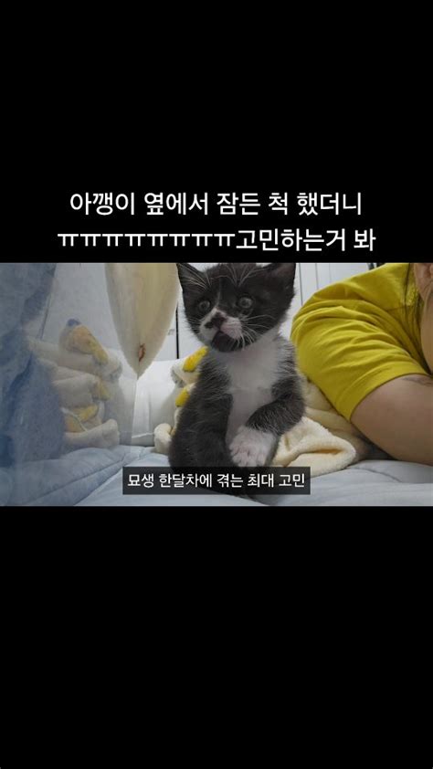 진짜 아기 쳐다 보기만 함 문 열어달라고 땡가엄 지르고 생난리를 지겨서 결국 문열어주면 막상 뭐 하는거 1도 없음ㅋㅋㅋㅋ 앉아서 보기 누워서 보기 목 돌리며 보기