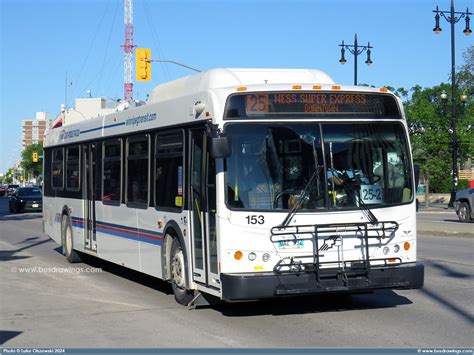 Winnipeg Transit 2011 New Flyer Low Floor Model D40lfr