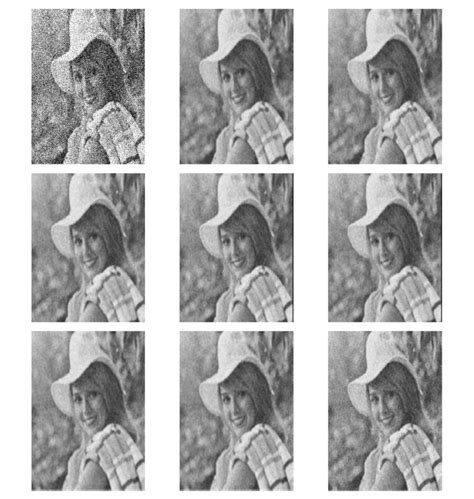 The Restored Images Using Our Edge Stopping Functions And The Existing Download Scientific