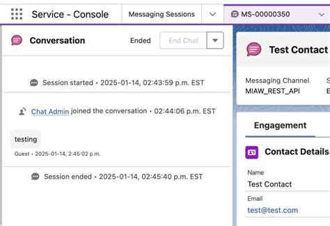 Pass Pre Chat To Salesforce Messaging For In App And Web Rest Api Infallibletechie