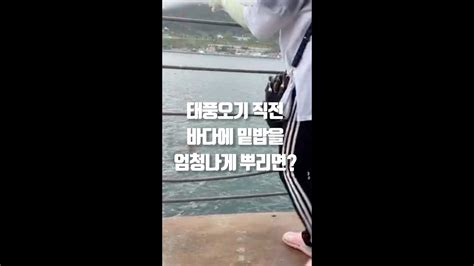 태풍오기 직전 바다에 밑밥을 왕창 뿌리면 생기는 일 Youtube