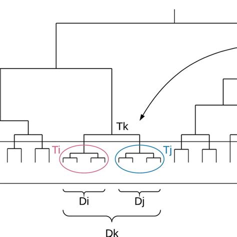 A Diagram Outlining The Fastbaps Algorithm An Initial Clustering Is Download Scientific
