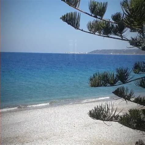 Margerit Michell La Margerita International Artist Home Facebook