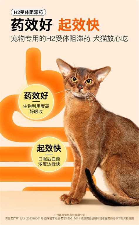 法氏利胃清安猫咪狗狗肠胃炎症药宠物止呕止吐黄水白沫腹泻拉稀药 tmall com天猫 花瓣网