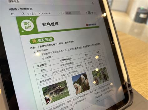 專屬你的雲端課堂【康軒學習網】影音課程、試題練習、診斷學力，升學與素養一站全滿足。限時優惠團購8折，國小課程最低只要1600元起 鍾小殷
