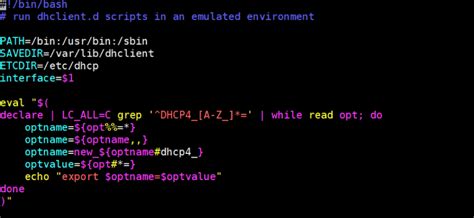 Analysis Of The Dhcp Client Script Code Execution Vulnerability Cve
