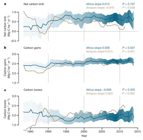 2 4 Long Term Carbon Dynamics Of Structurally Intact Old Growth Download Scientific Diagram