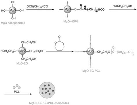 改性无机纳米粒子改性无机纳米粒子 生物可降解聚酯类复合材料及其制备方法与流程