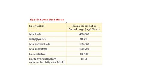 Triglyceride Metabolism Pptxmetabolismpptx Pptx
