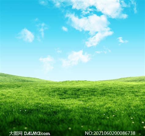 蓝天白云下的草地和野花摄影图片 大图网图片素材