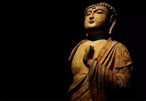解读金刚经花落水流红闲愁万种无语怨东风