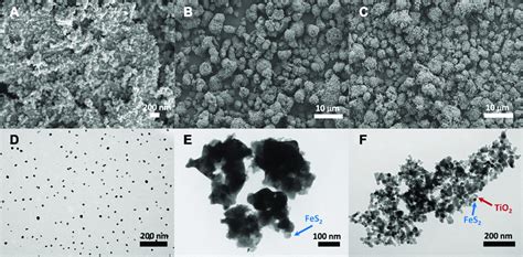 SEM Images Of A TiO NPs B FeS NPs And C TiO FeS NCs Download Scientific