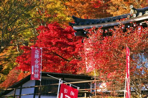 鳥居観音の紅葉