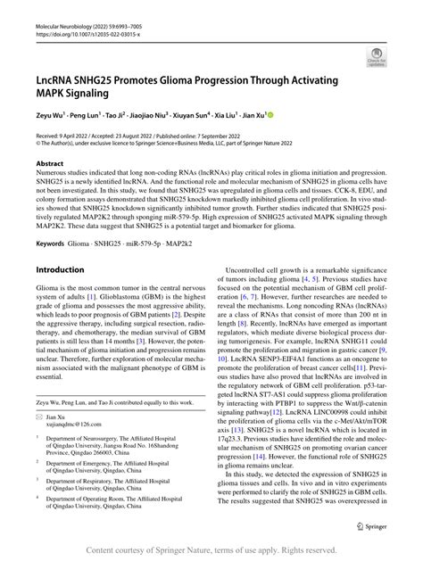 Lncrna Snhg25 Promotes Glioma Progression Through Activating Mapk Signaling