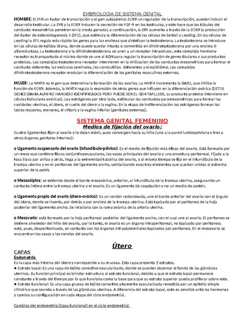 Agregado Para Final De Sex Embriologia De Sistema Genital Hombre El