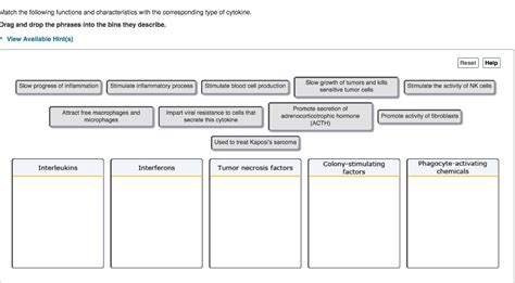 solved match the following functions and characteristics