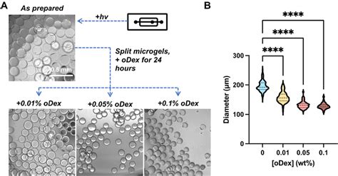 Fabrication Of Gelnb Ch Microgels Via A Microfluidic Droplet Generator