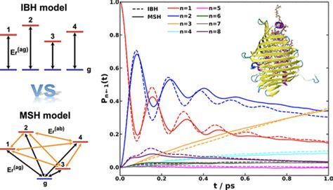Effects Of Heterogeneous Protein Environment On Excitation Energy Transfer Dynamics In The Fenna