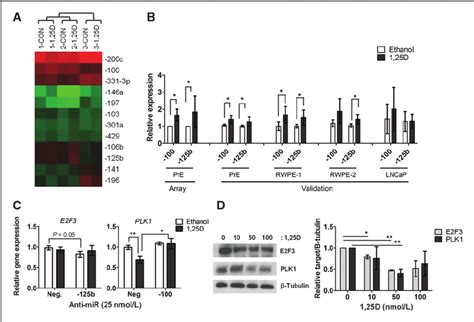 Mirnas Regulated By 125d In Prostate Cells A Unsupervised