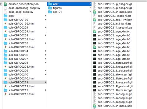 Anat Vs Func Workflow Treatment Of Sessions Fmriprep Neurostars