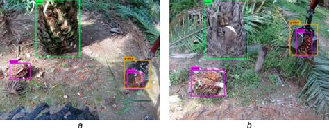 visual detection results for yolov3 model download scientific diagram
