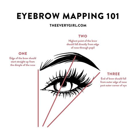 Eyebrow Mapping For Beginners A Step By Step Guide Adam Forga