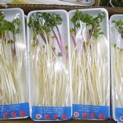 取り扱い商品 7ページ目 築地青果仲卸野菜仲卸の老舗株式会社築地くしや