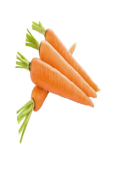 Class Observation 1 In Mathematics For Grade One Pdf