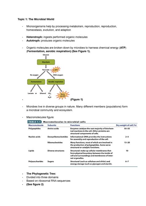 BIOL Microbiology Notes Topic The Microbial World Microorganisms Help By Processing