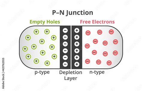 Vector Illustration Of PN Junction Pn Junction Isolated On White Background The Interface