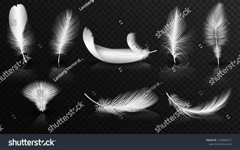 Feather Alpha Images Stock Photos Vectors Shutterstock