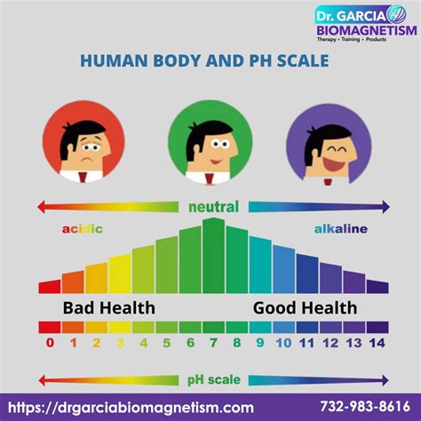 Ph Balance In Body Artofit