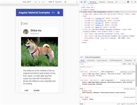How To Setup Angular Material In An Angular 10 Application